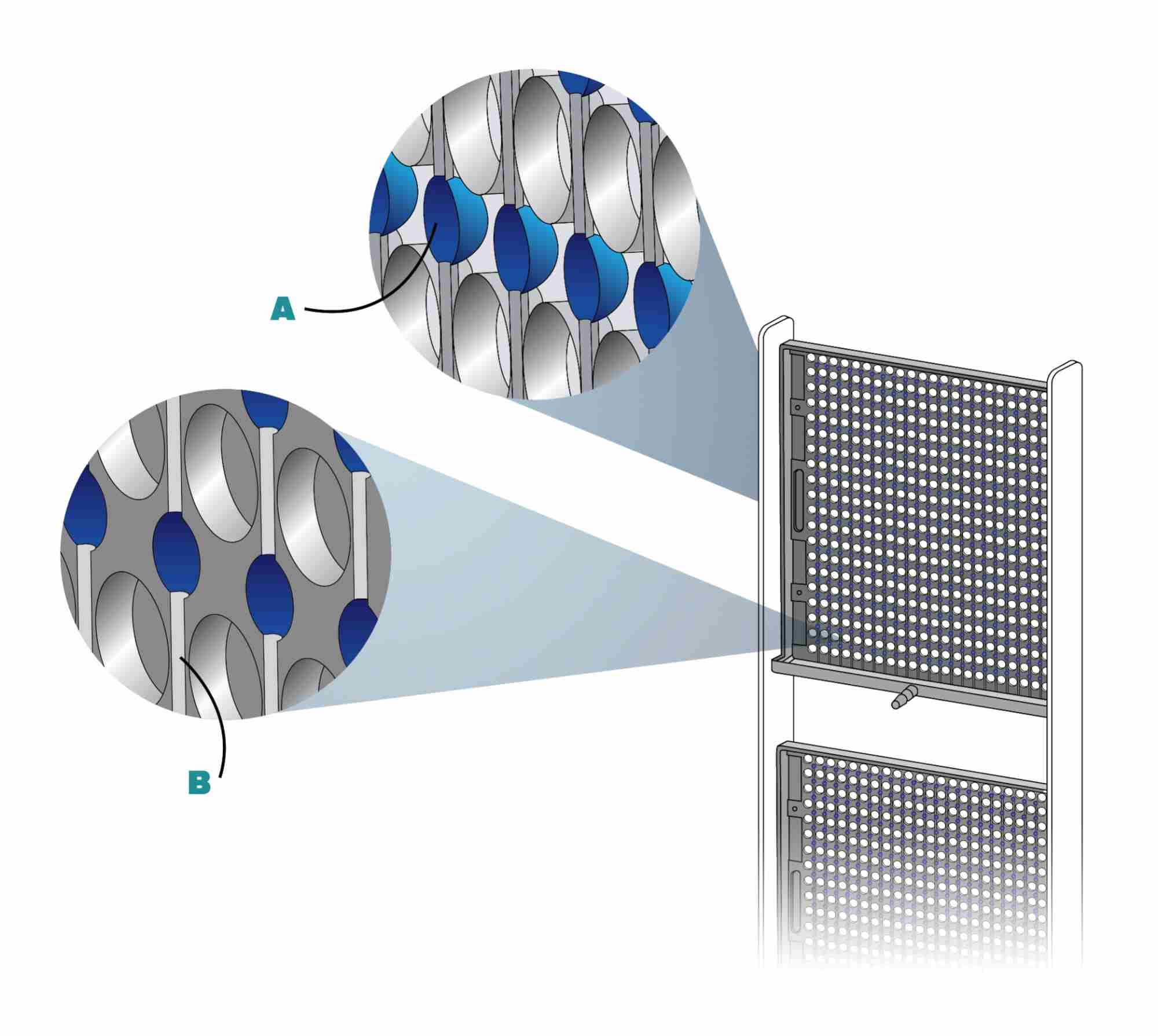 Engineering students earn honors for digital design that could provide ...